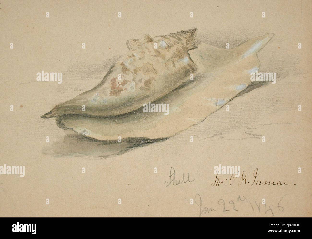 John obrien hi-res stock photography and images - Alamy