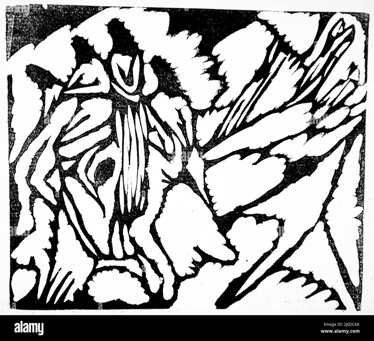 Modern geometric prints Black and White Stock Photos & Images - Alamy