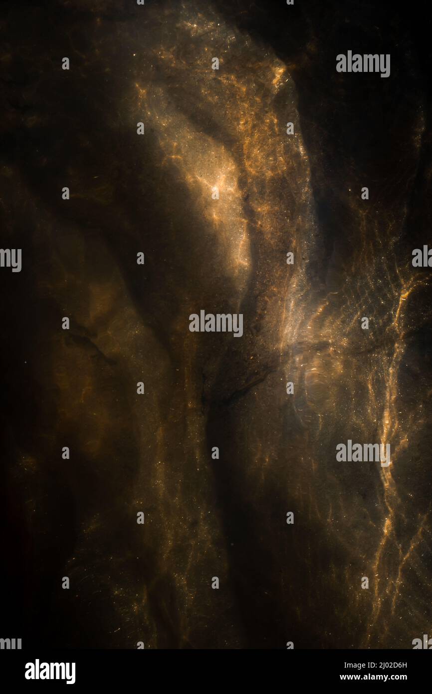 Art of nature - the sun shining through the water in a stream down to ...