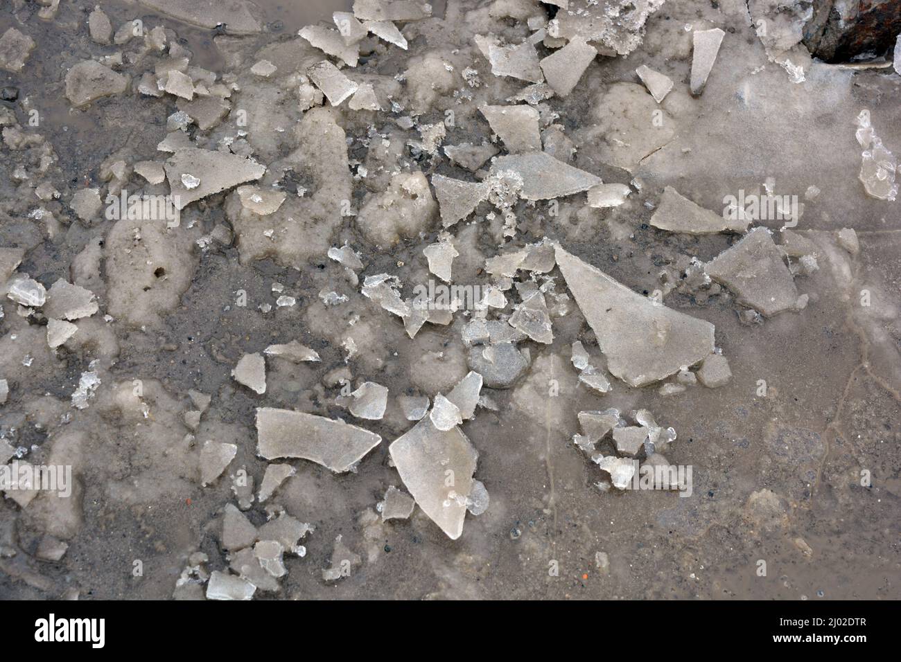 Broken transparent ice, small pieces of ice crust lie near a frozen ...
