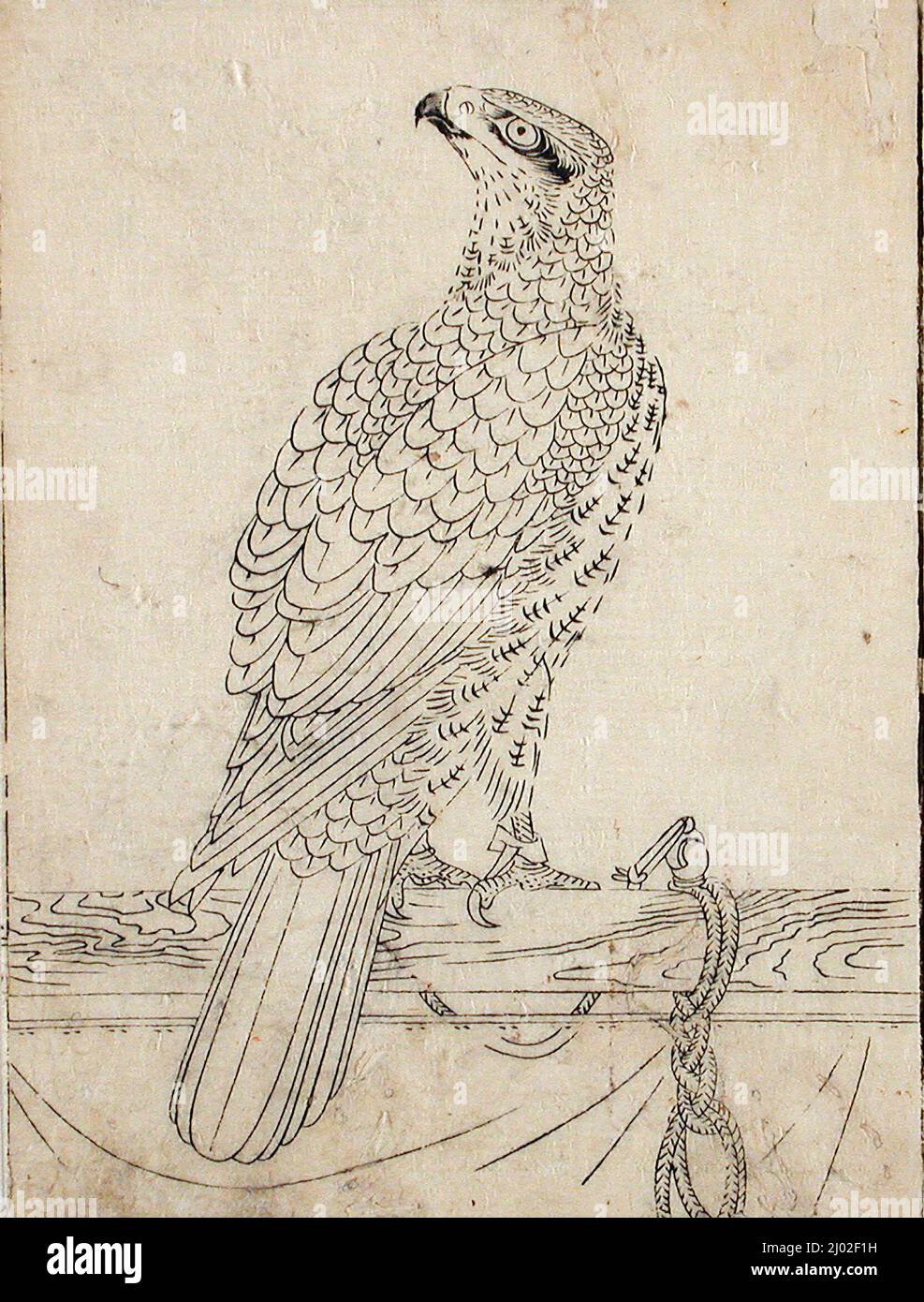 Hawk Tethered to a Perch. After Soga Chokuan (Japan, active Sakai ...