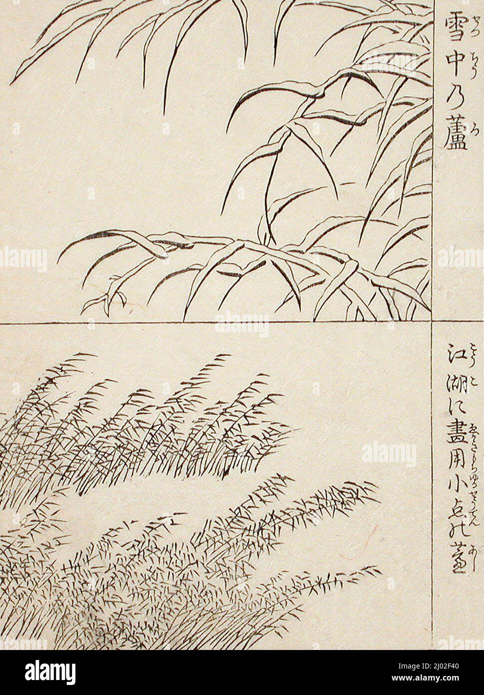 Reeds in Snow. Tachibana Morikuni (Japan, 1679-1748). Japan, circa 1740 ...