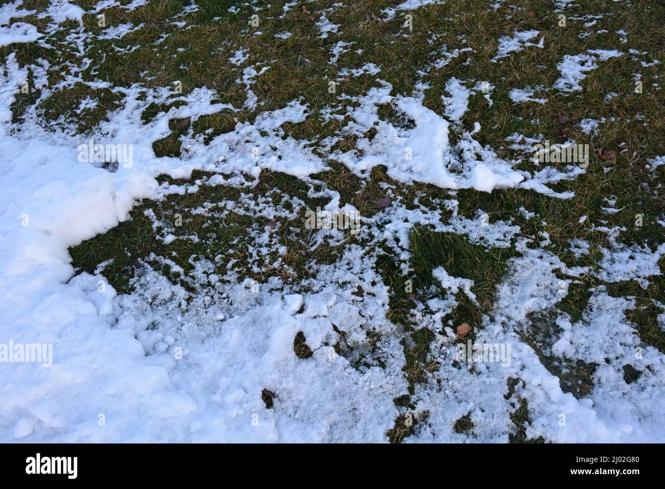 Black soil, black earth covered with a thin layer of white snow, soil ...