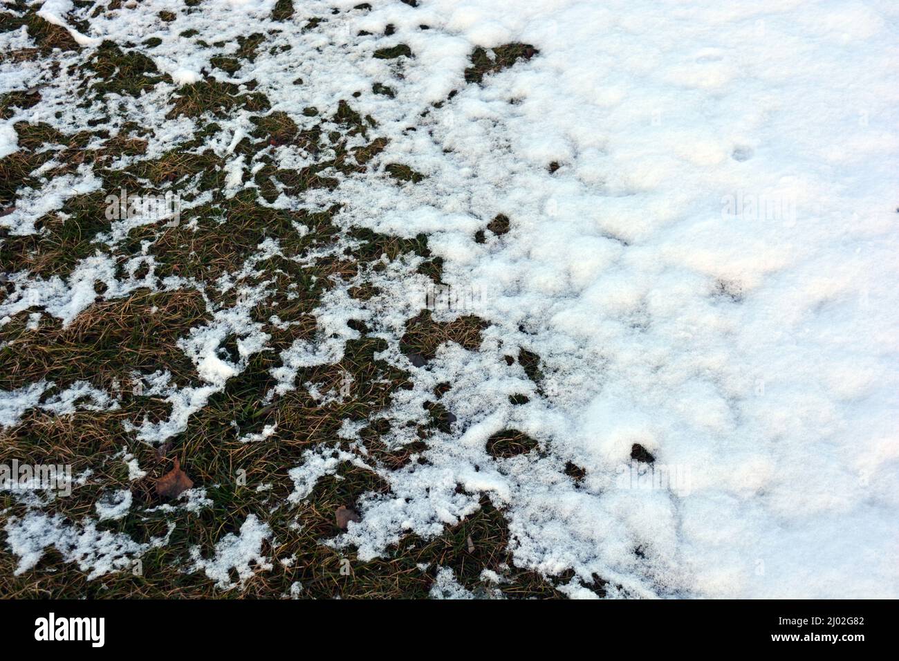 Black soil, black earth covered with a thin layer of white snow, soil ...