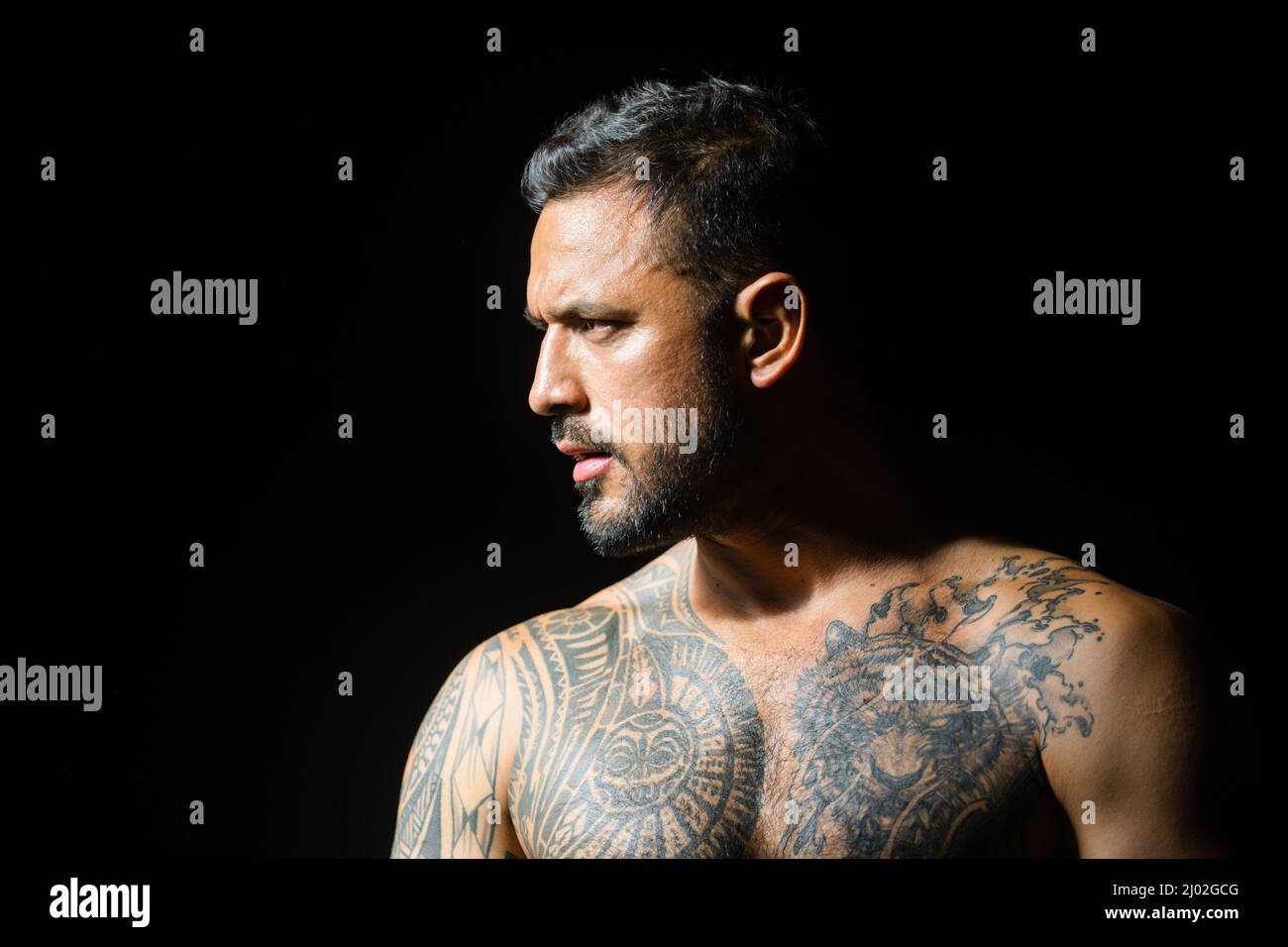 Confident attractive man with serious face. Close up portrait of guy ...