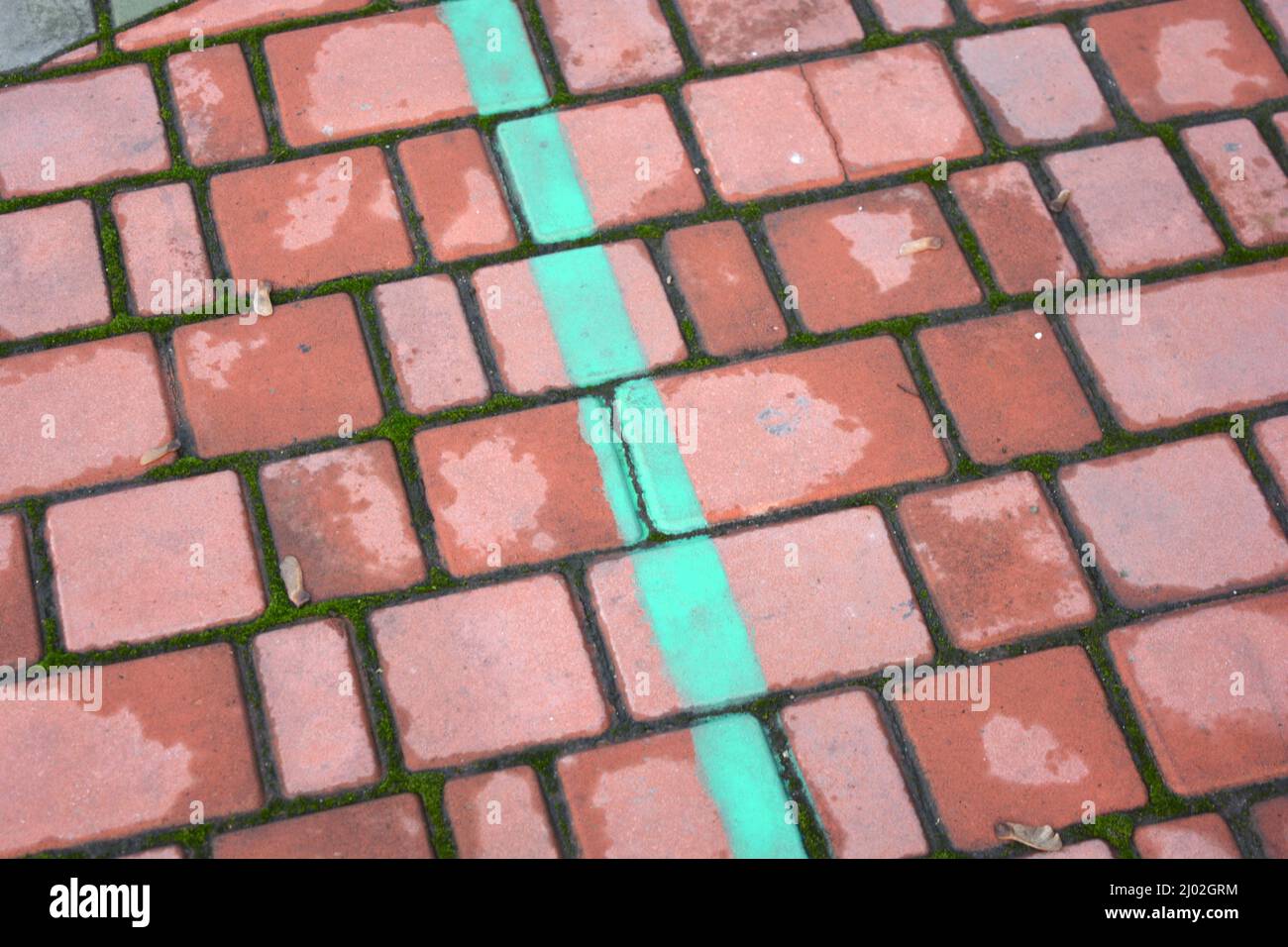 Building materials, road surface, pavement made of colored stones blue ...