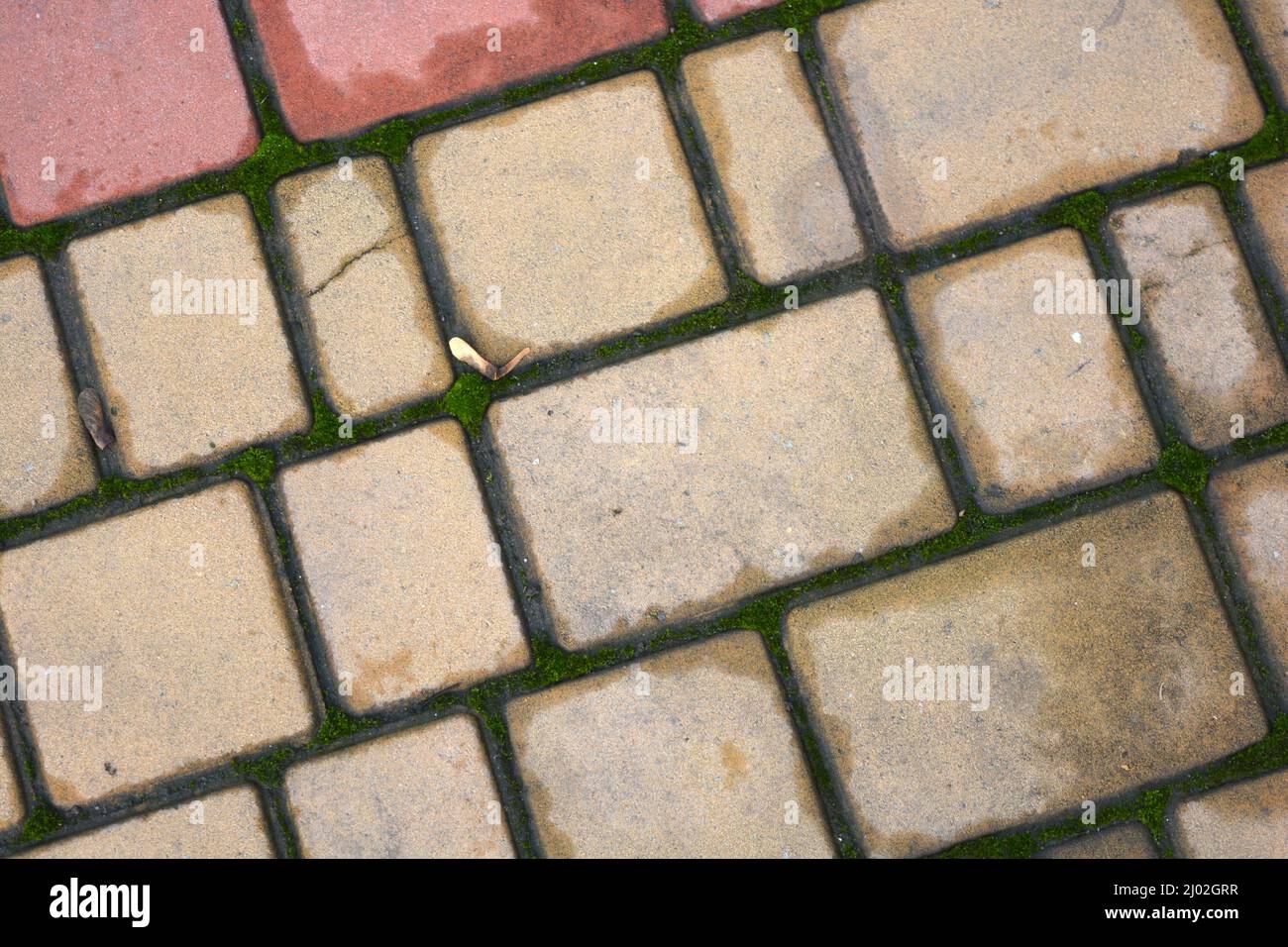 Building materials, road surface, pavement made of colored stones blue ...
