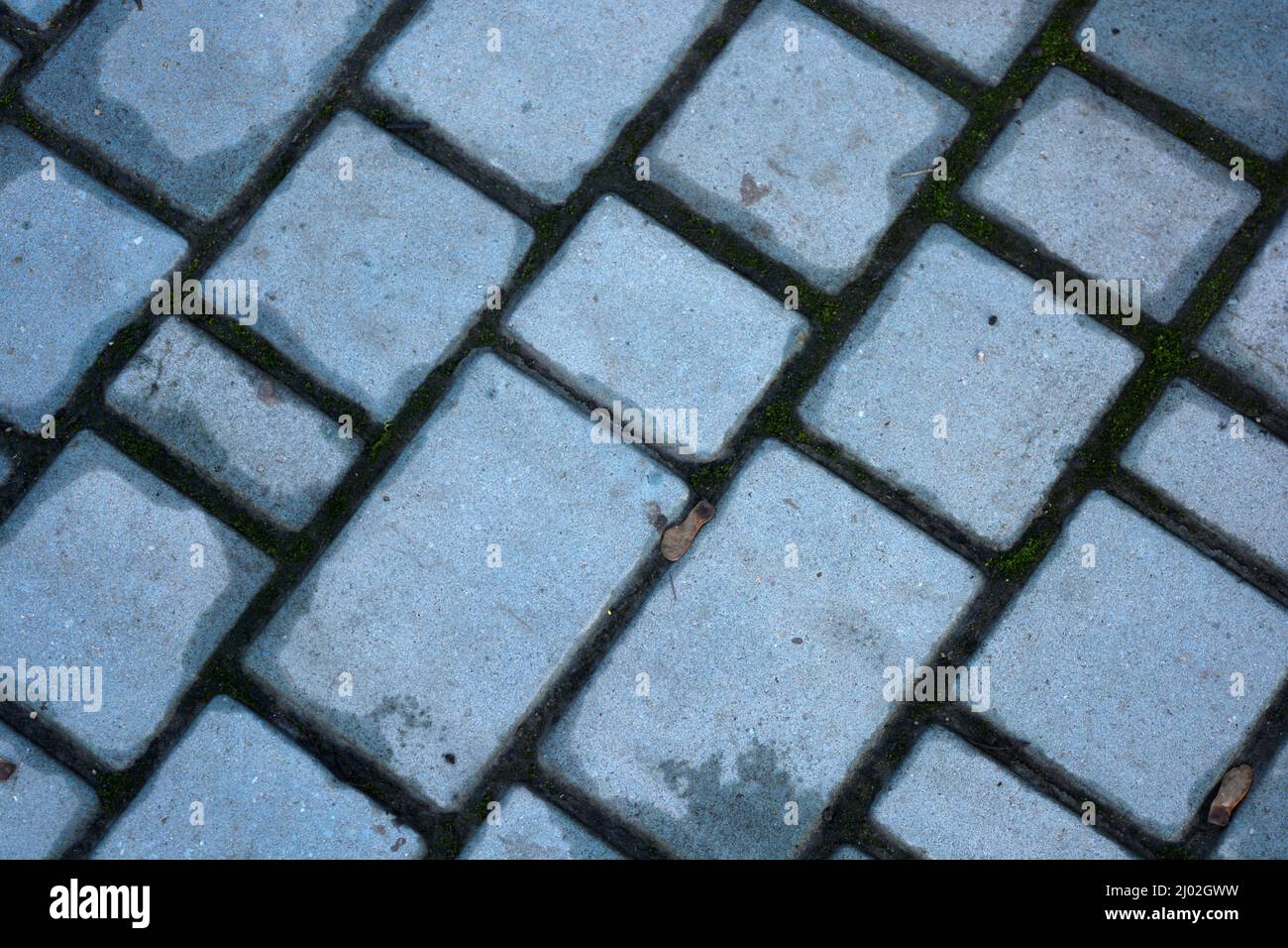 Building materials, road surface, pavement made of colored stones blue ...