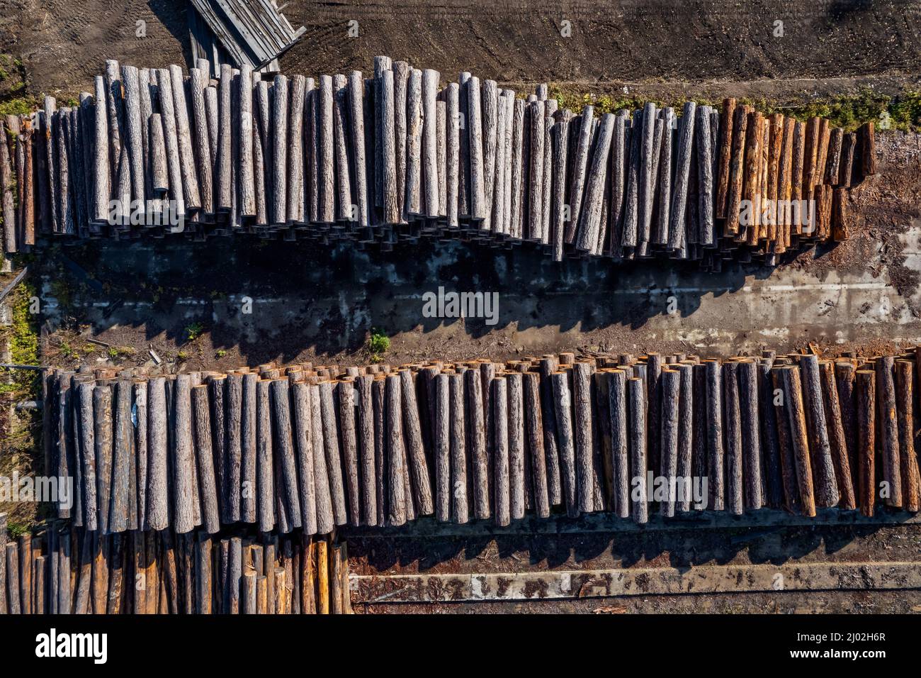 Log storage for sawn timber for export. Lumberjack port business ...