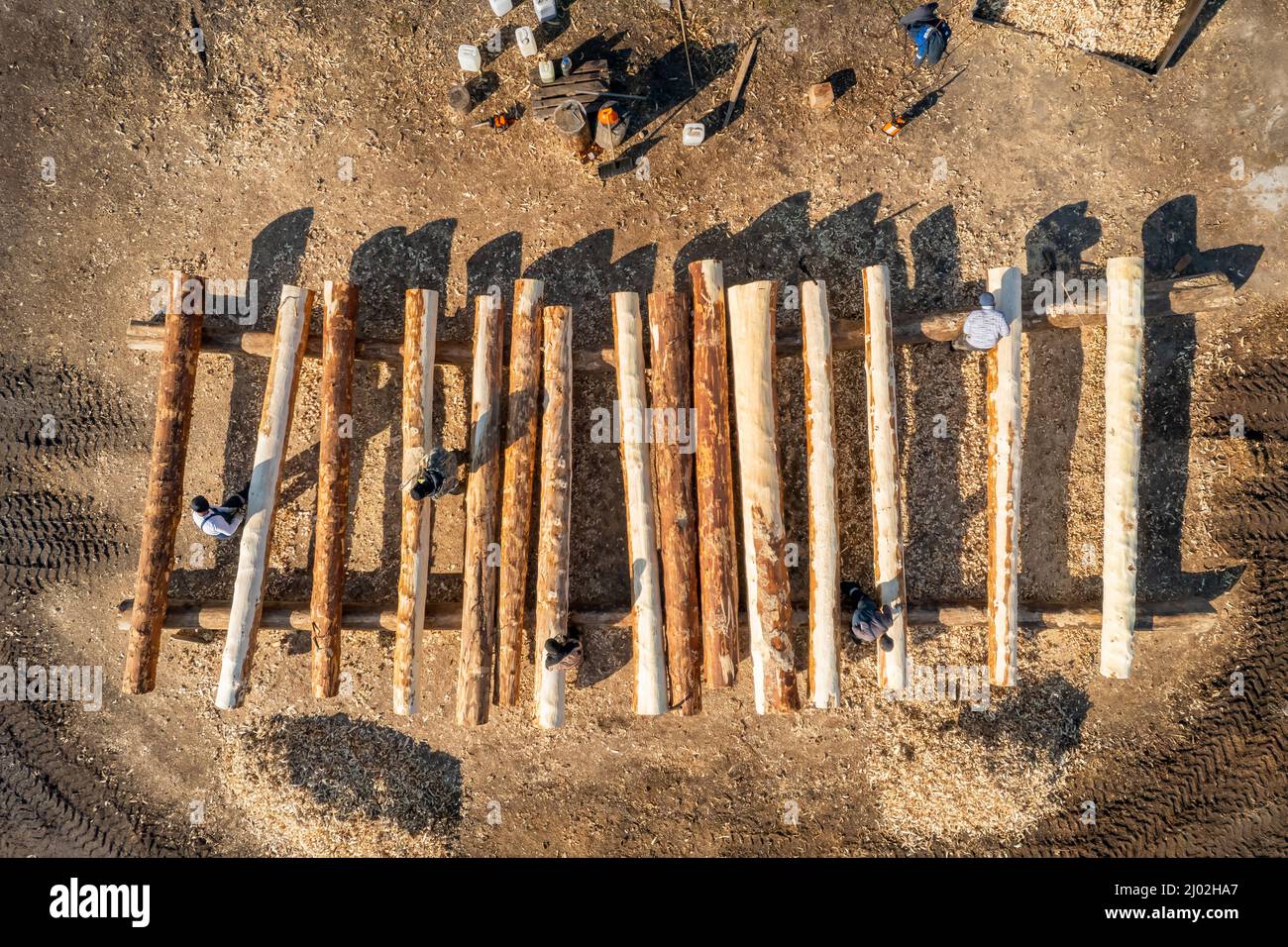 Work of sawmill, working lumberjacks are removing bark from fallen logs ...