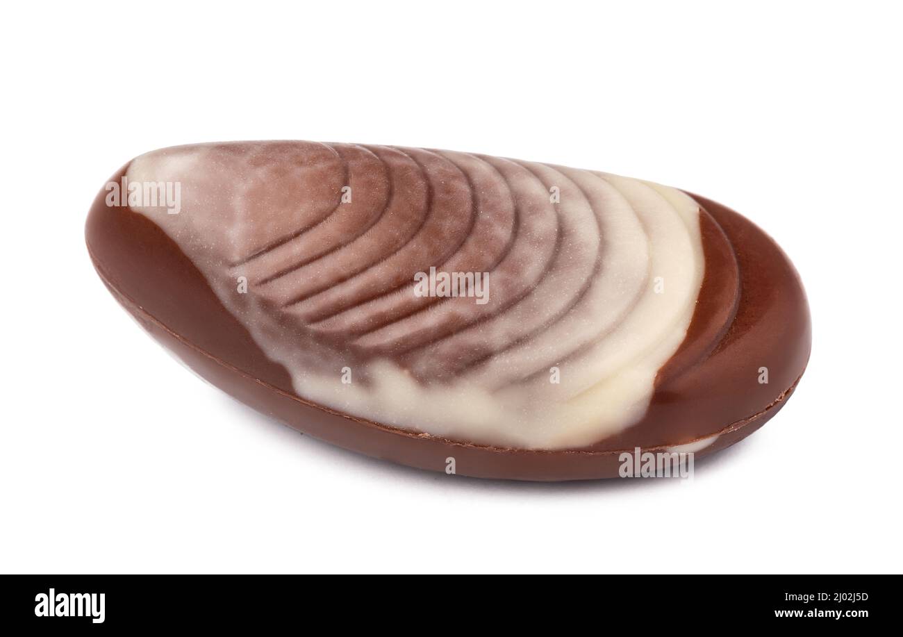 Chocolate sweets shaped as seashells isolated on white background Stock ...