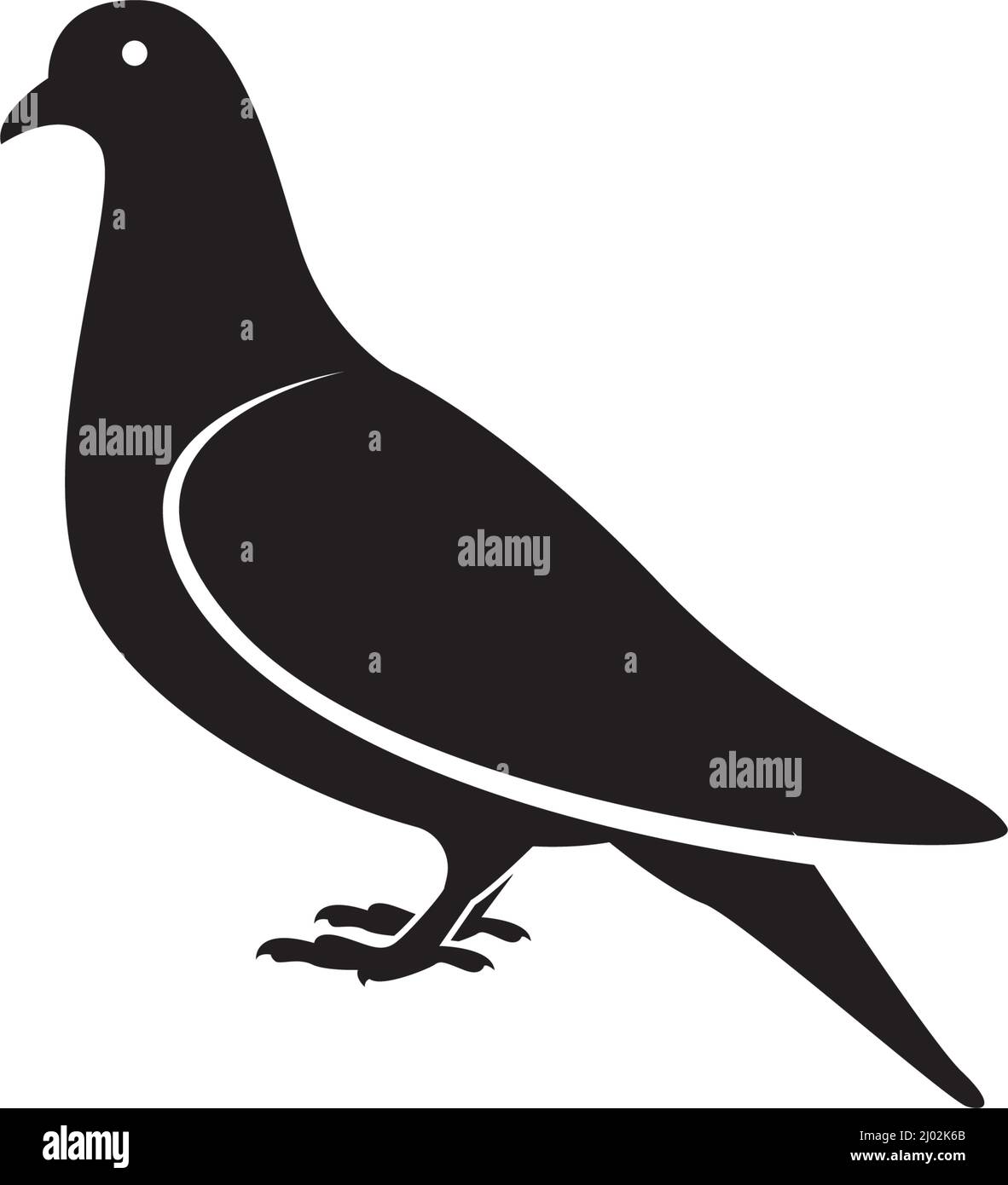 Pigeon icon hi-res stock photography and images - Alamy