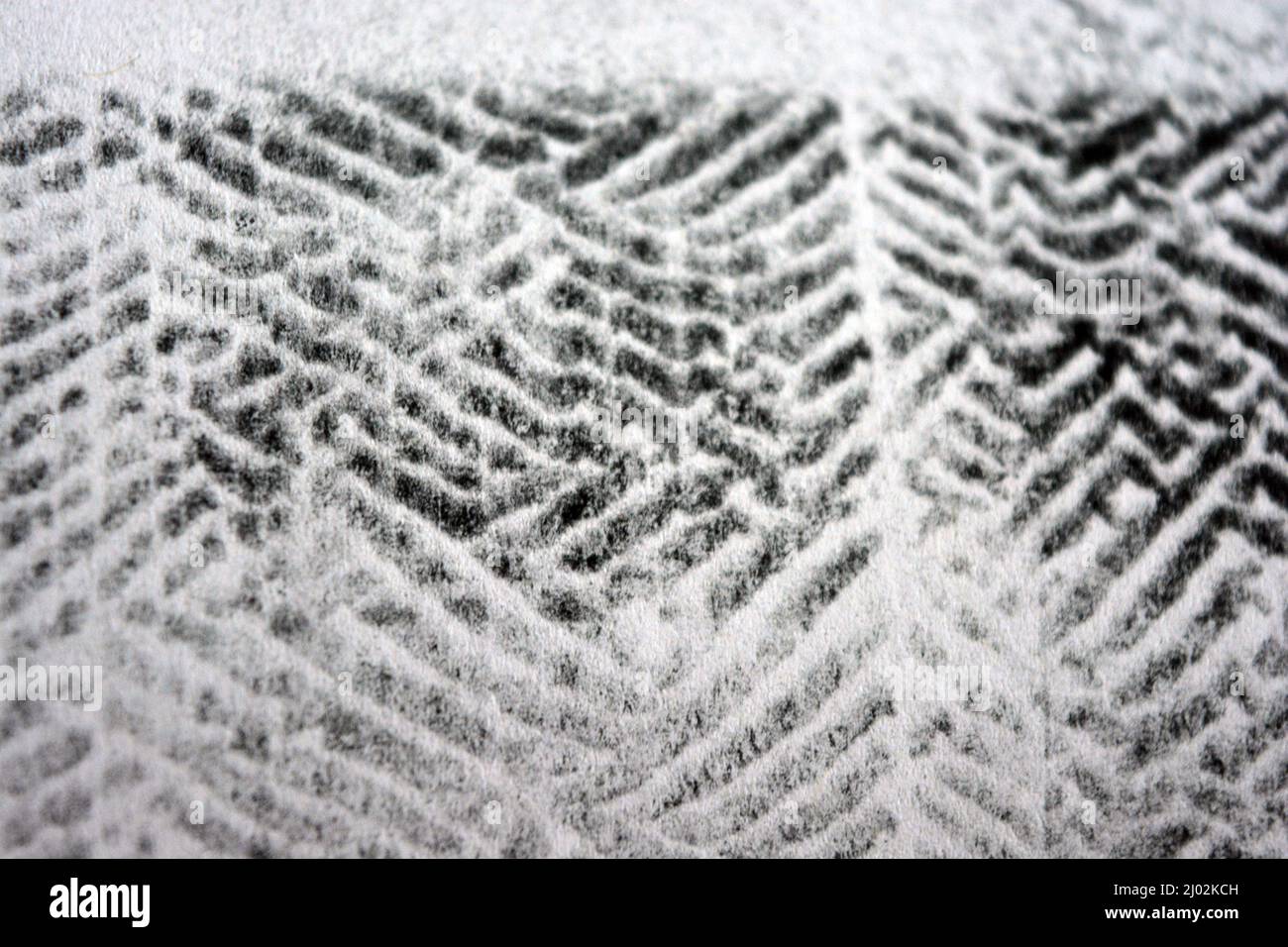 White office sheets of A4 paper, on which printed with a laser printer ...