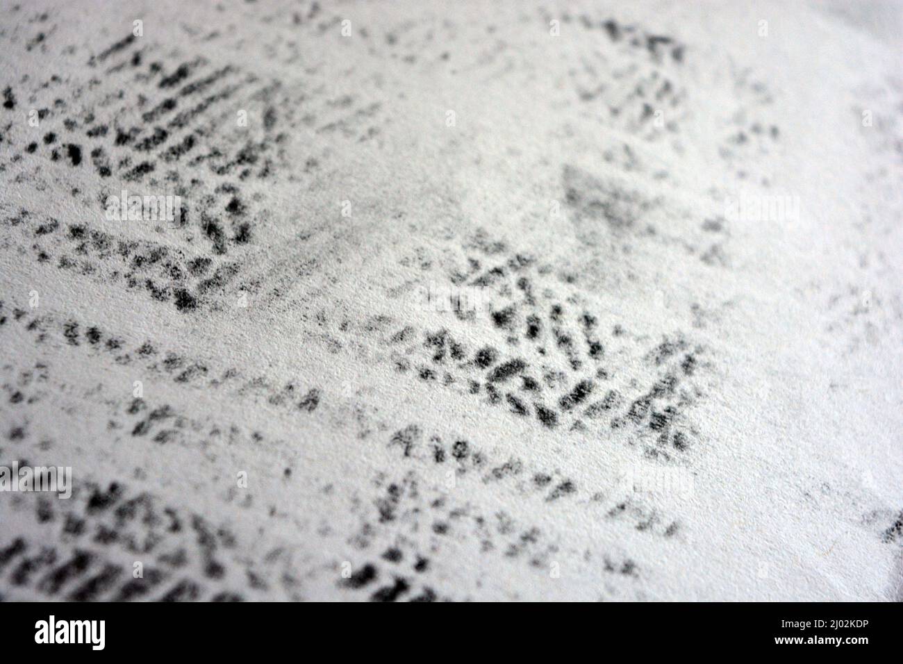 White office sheets of A4 paper, on which printed with a laser printer ...