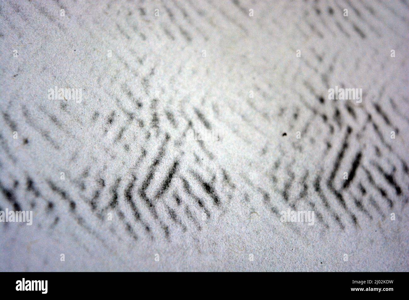 White office sheets of A4 paper, on which printed with a laser printer ...