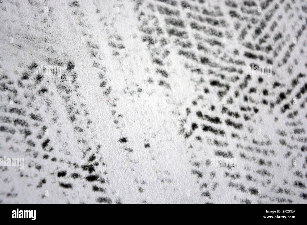 White office sheets of A4 paper, on which printed with a laser printer ...