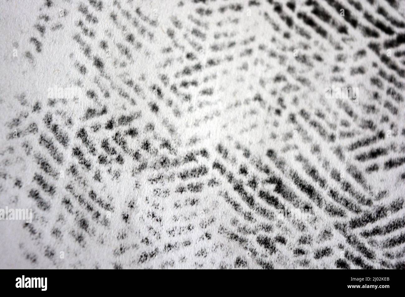 White office sheets of A4 paper, on which printed with a laser printer ...