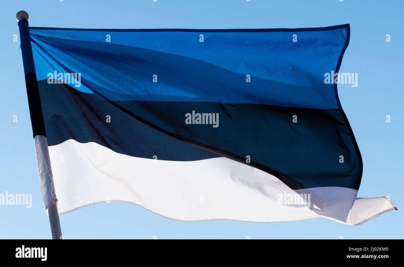 Close-up of flag of Estonia on blue sky background. Estonian flag ...