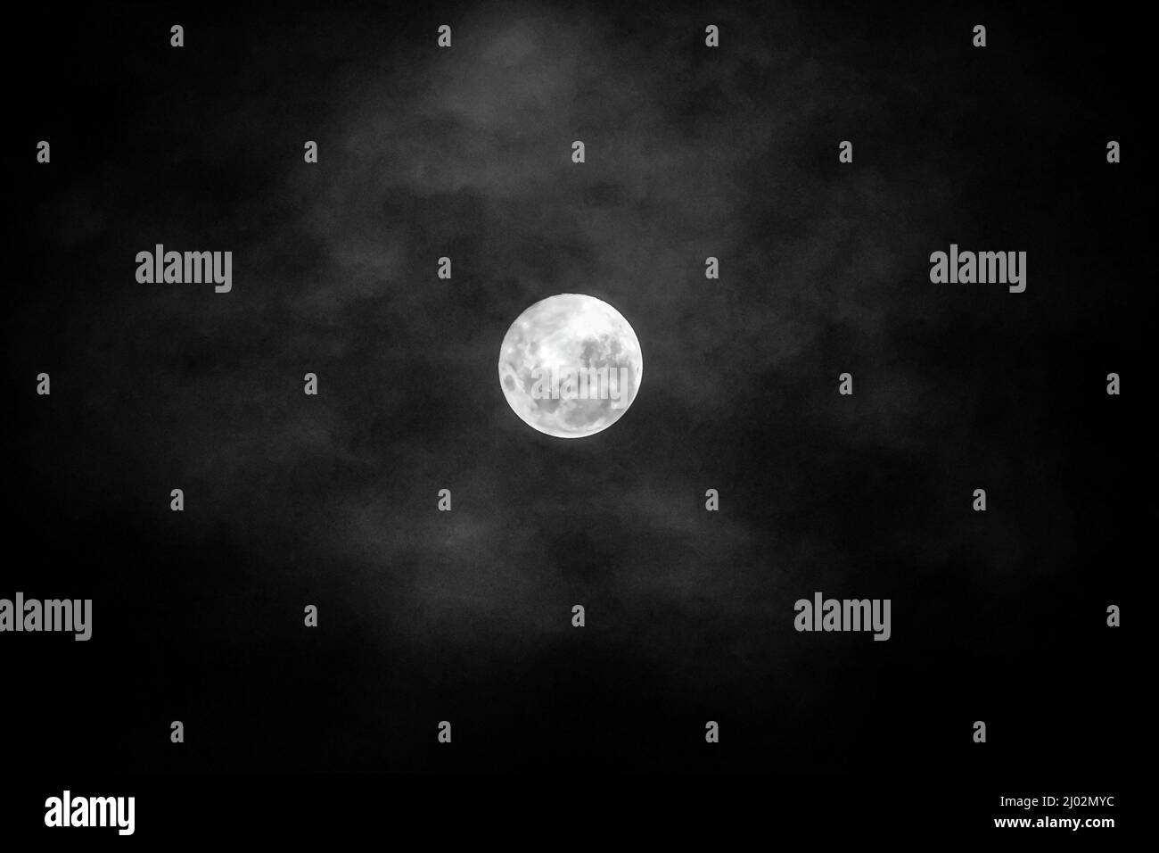 9t1studios hi-res stock photography and images - Alamy