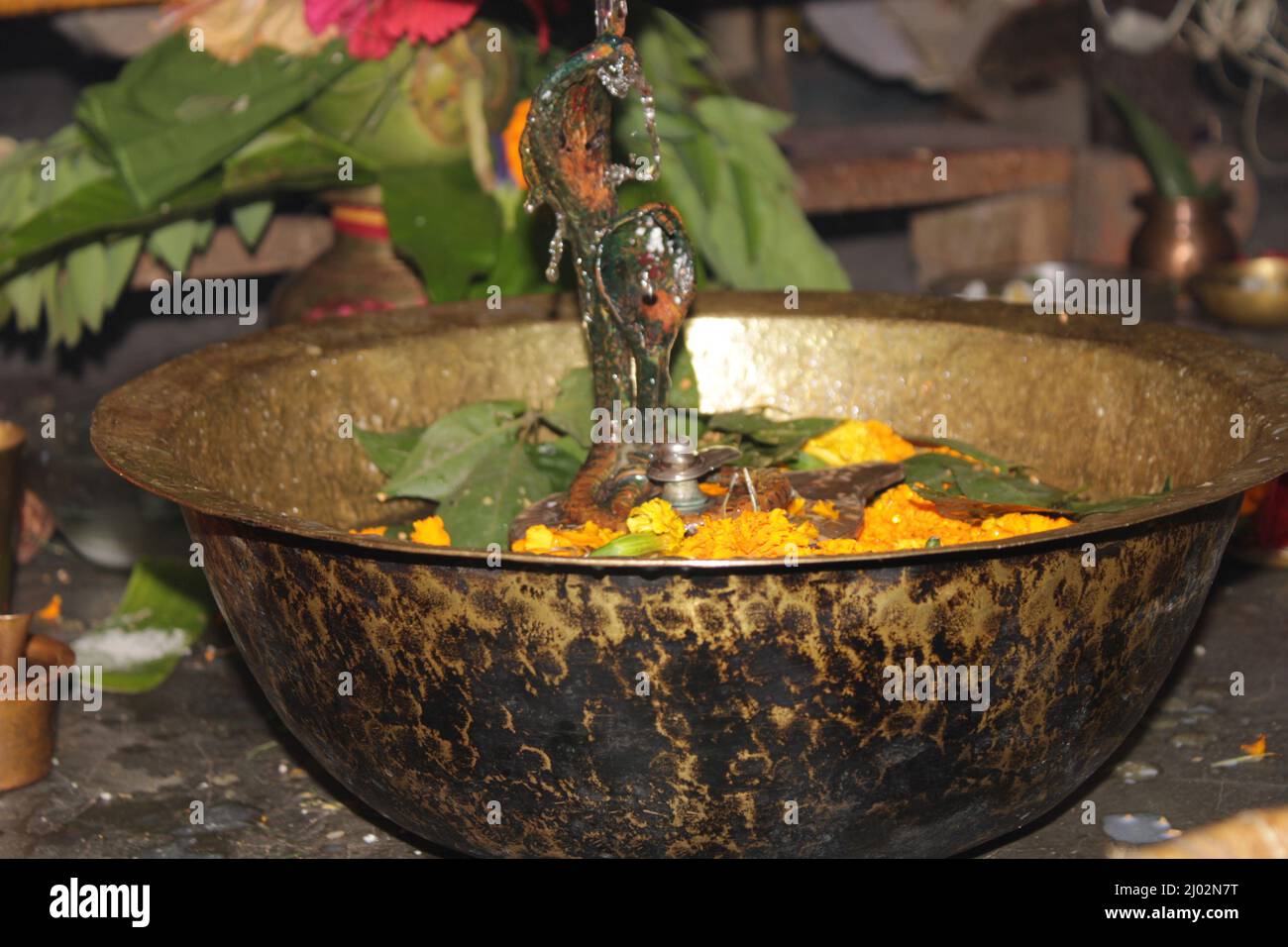 Hindu Devotees offering milk And Water to Shiv Lingam on occasion of ...