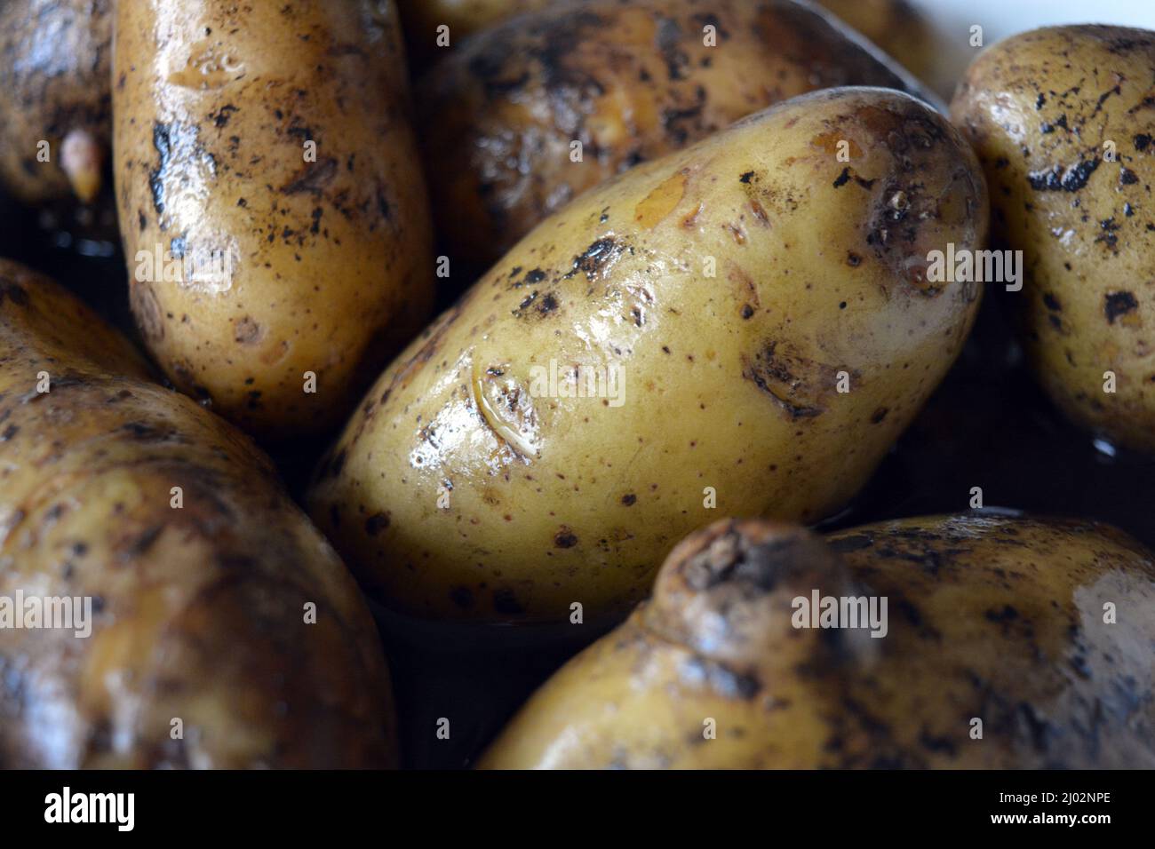 Food, cooking, healthy vegetables and fruits. Beautiful clean, washed ...