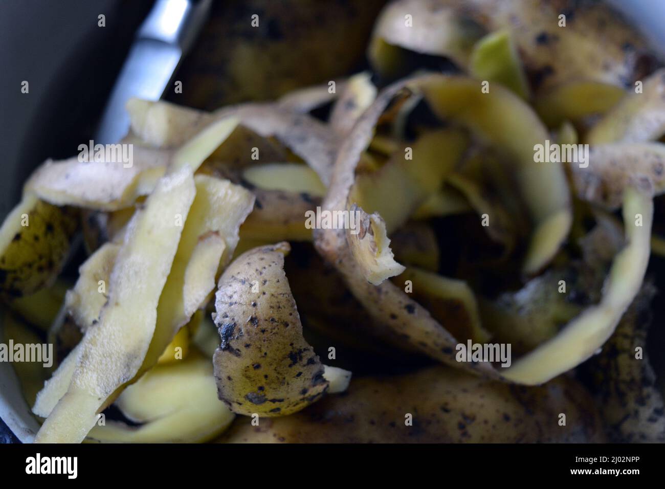 Food, cooking, wholesome and healthy vegetables. Beautiful clean ...