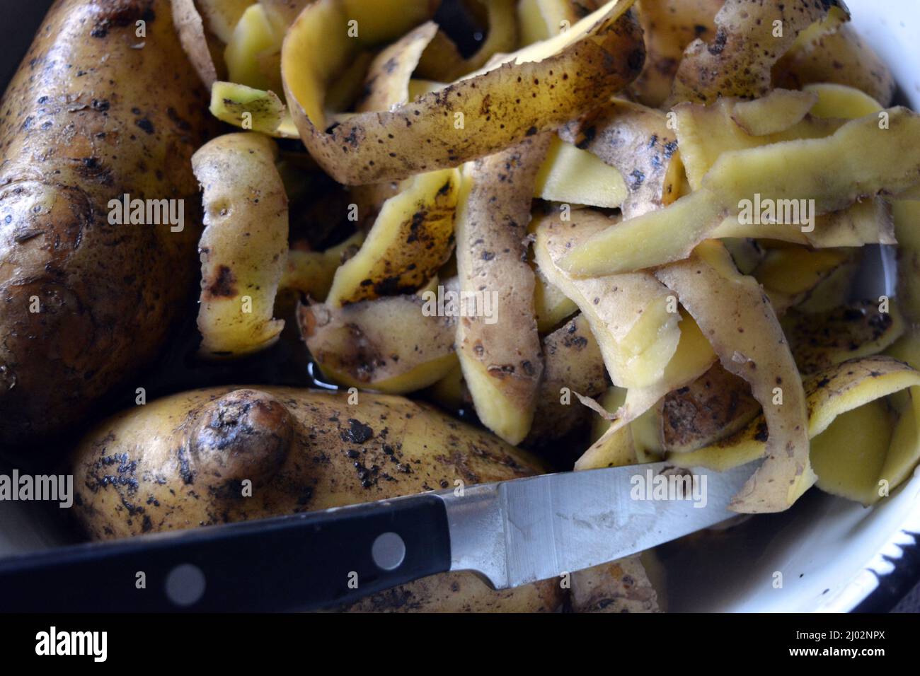 Food, cooking, wholesome and healthy vegetables. Beautiful clean ...