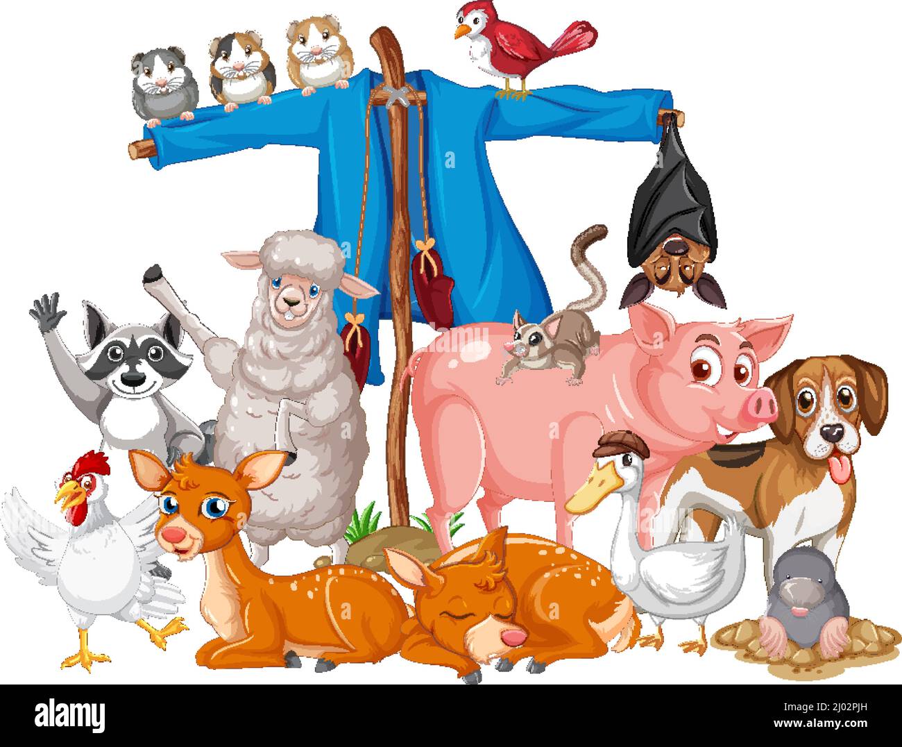 Different Types Of Domestic Animals