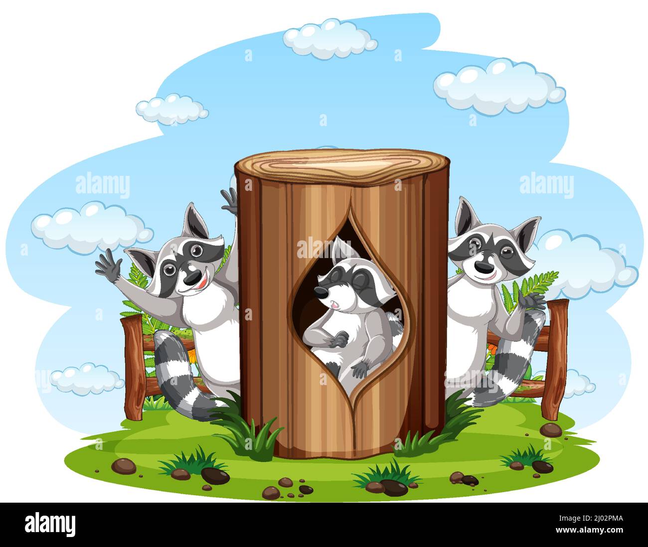 Three raccoons hi-res stock photography and images - Alamy