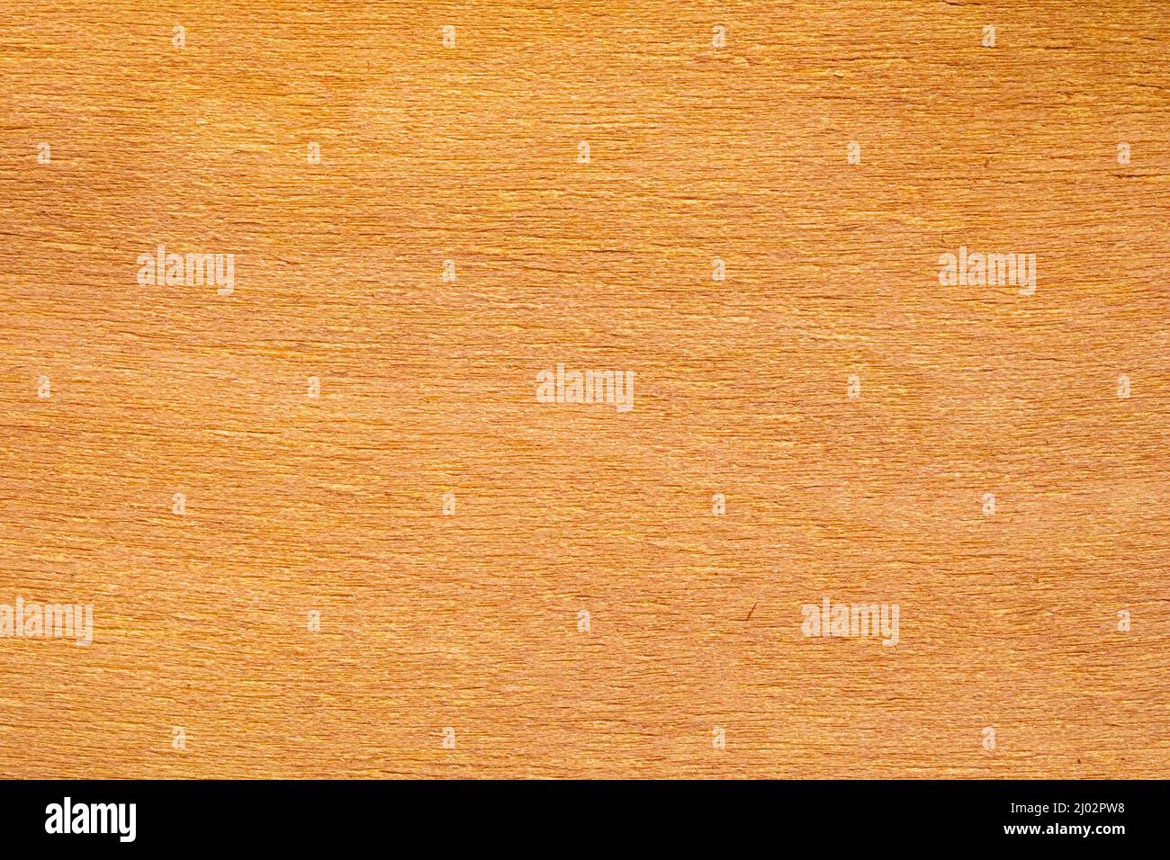 Macro Close up of wooden texture of Cedar wood cigar box surface Stock ...