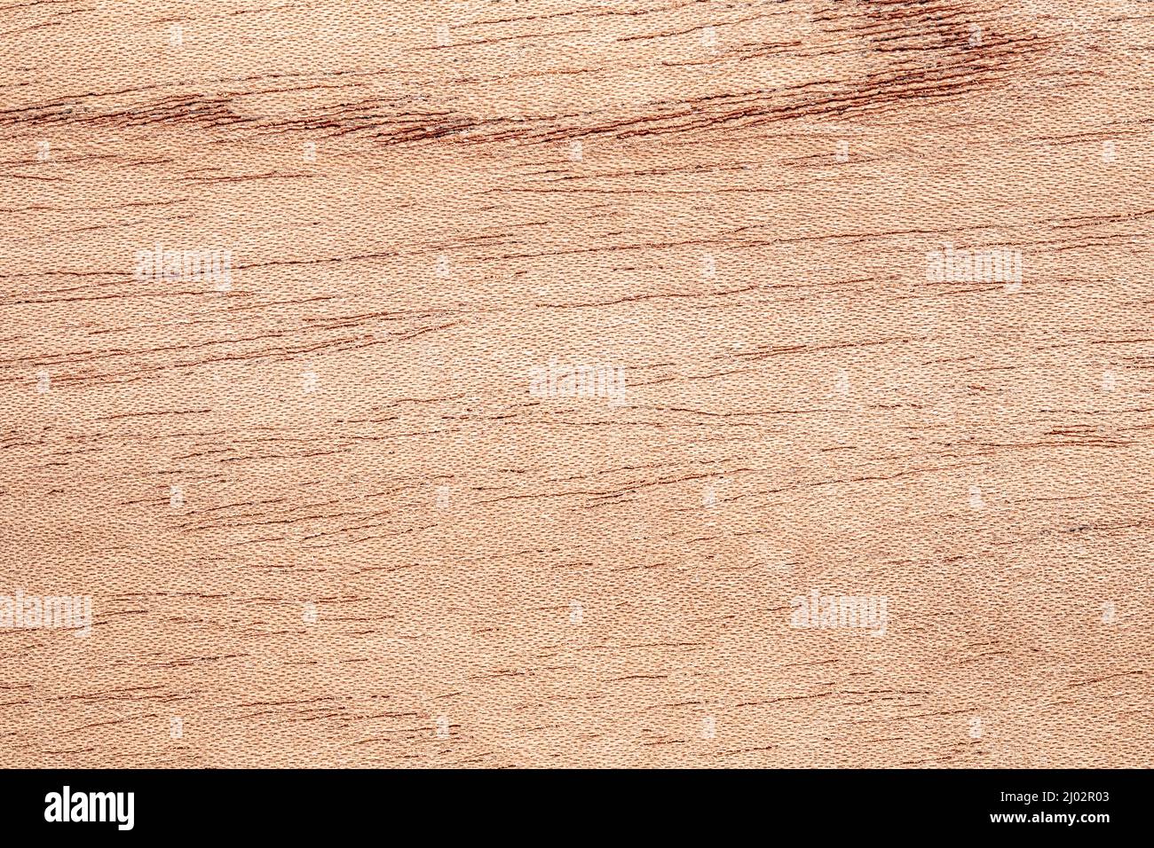 Macro Close up of wooden texture of Cedar wood cigar box surface Stock ...