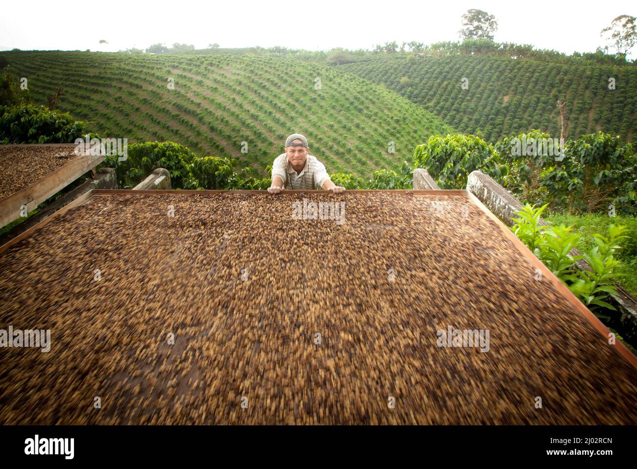 Drying table hi-res stock photography and images - Alamy