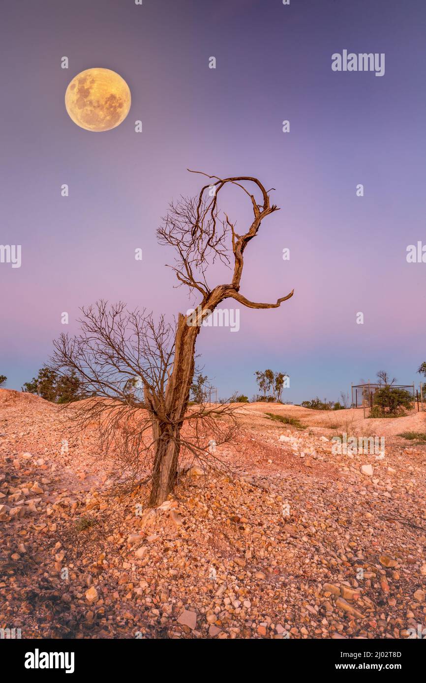 Opal mine lightning ridge hi-res stock photography and images - Alamy