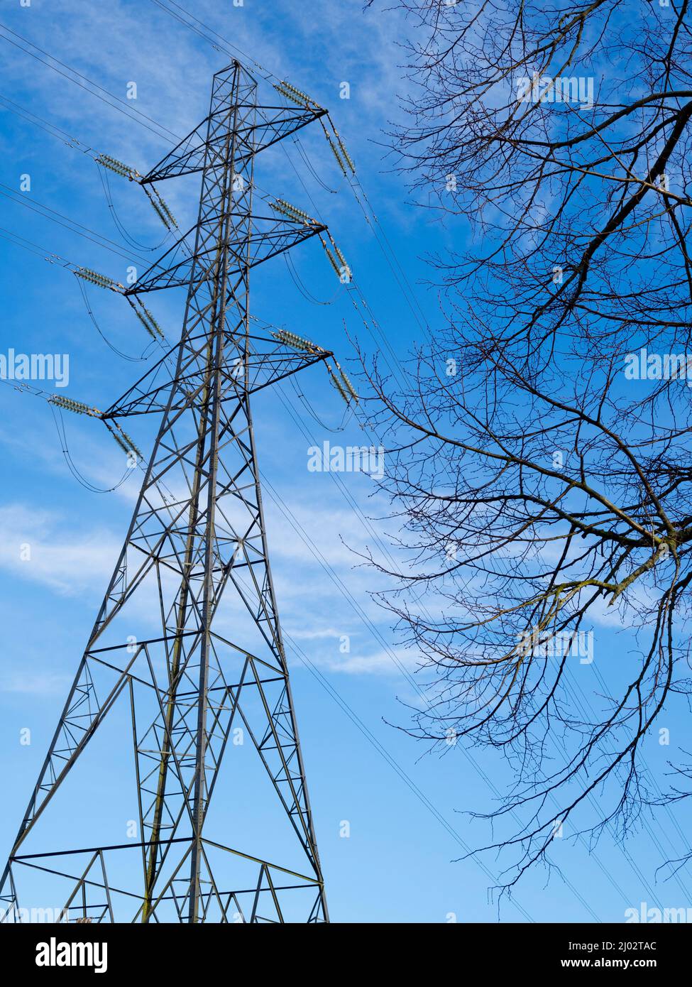 Pylon and spring-budding tree in Lower Radley 2 Stock Photo - Alamy