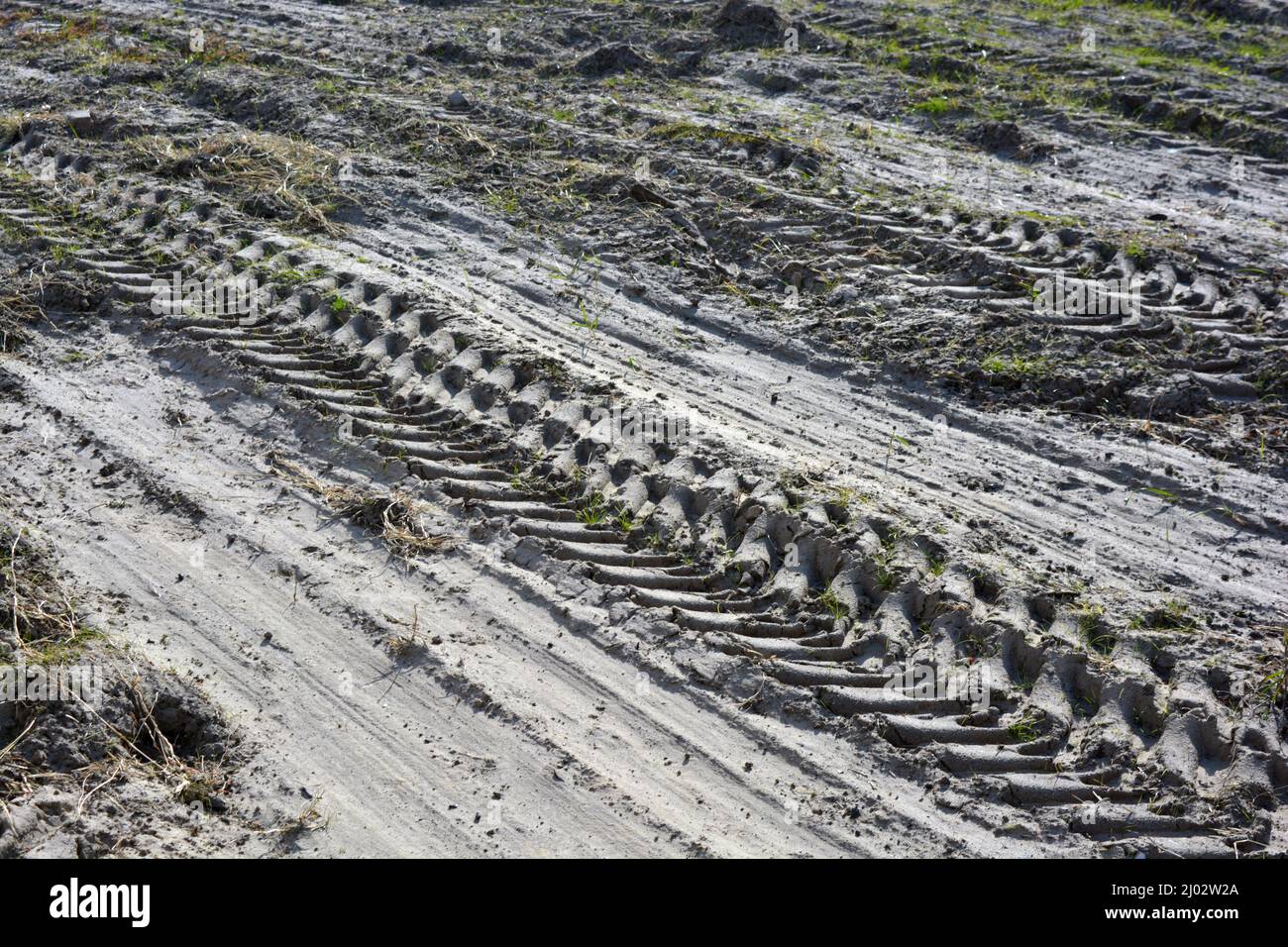 Unusual backgrounds, a drawing from the wheels of a passing ...