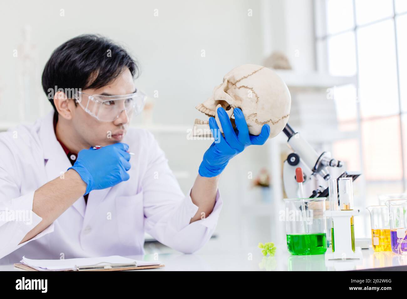 Scientist Physical anthropology in biological science lab studying ...