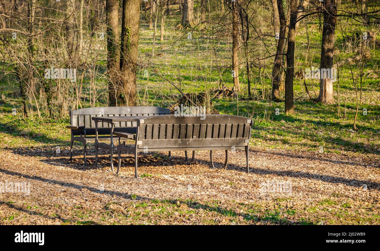 Wooden benches set up on the promenade in the city park in Sremska ...
