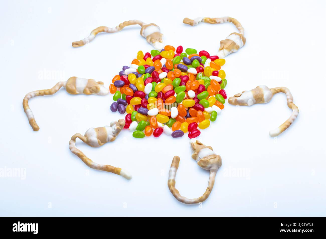 Mixed collection of colorful candy, jelly pills candies, Candies in ...