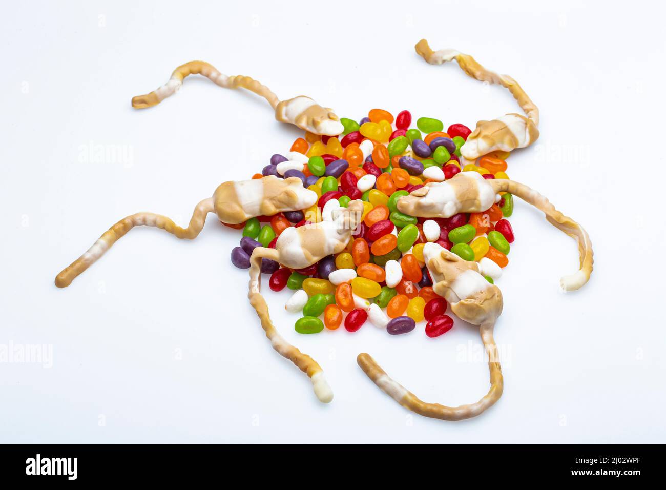 Mixed collection of colorful candy, jelly pills candies, Candies in ...