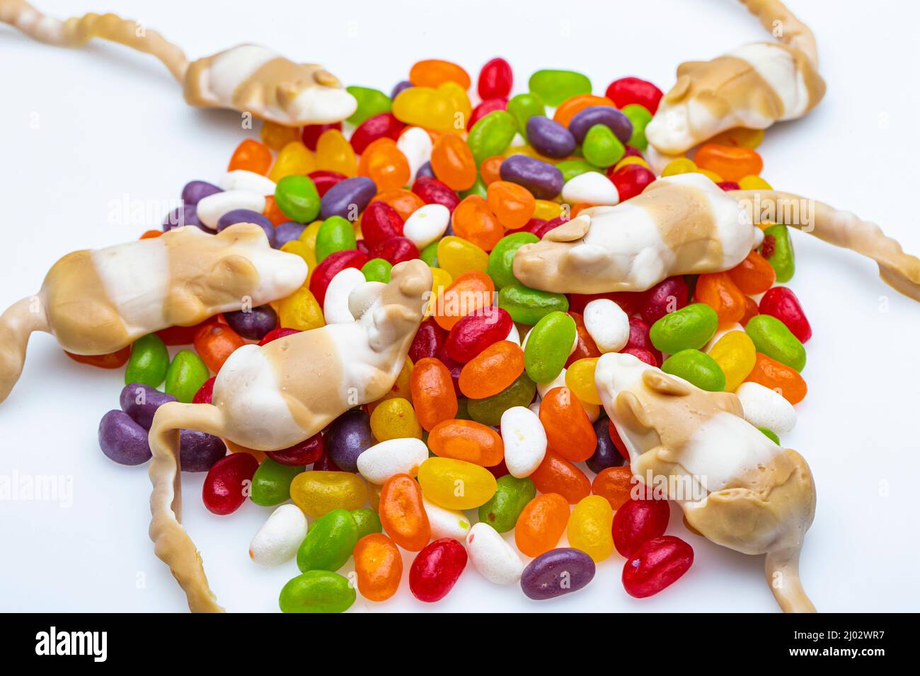 Mixed collection of colorful candy, jelly pills candies, Candies in ...