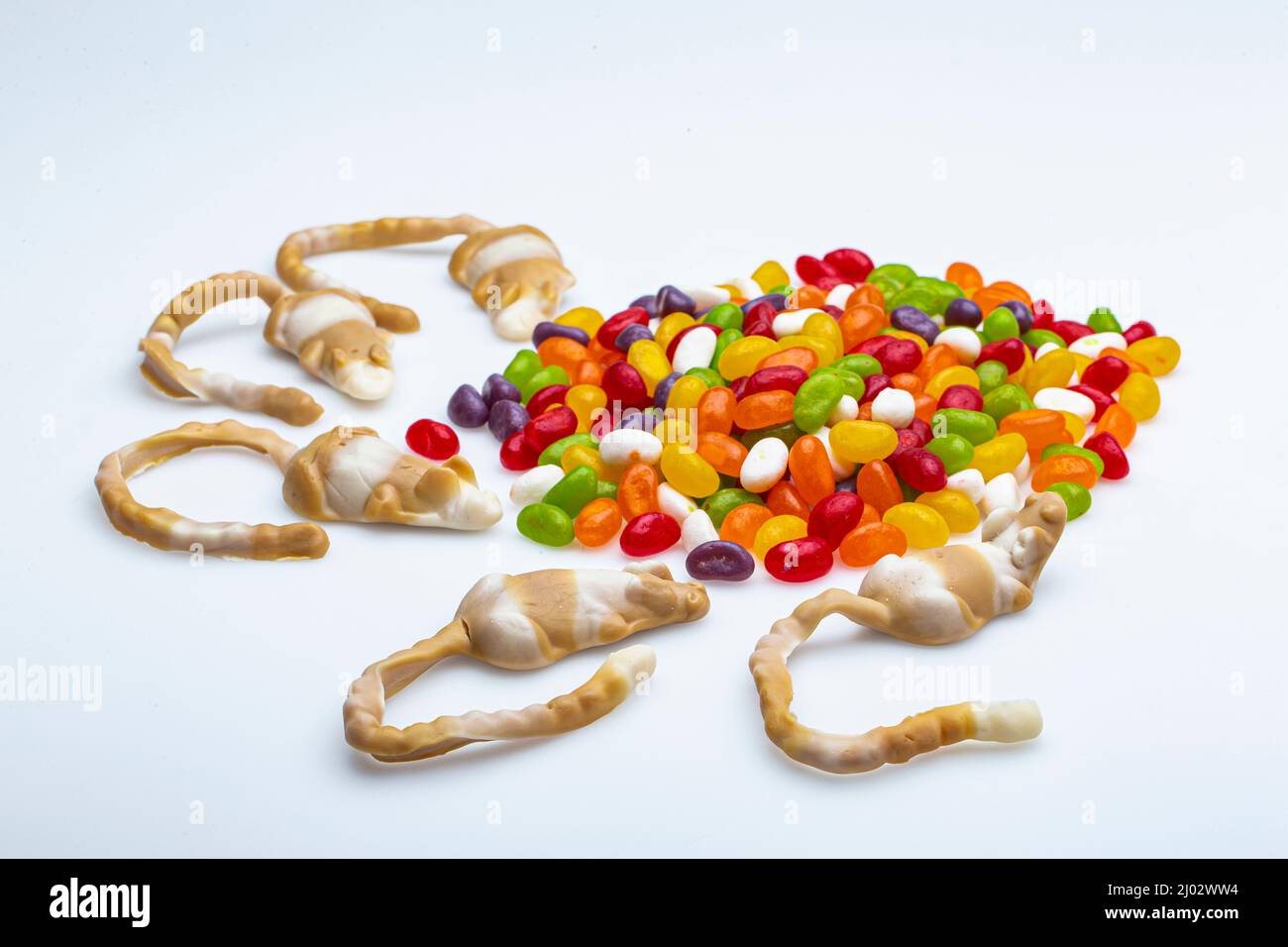 Mixed collection of colorful candy, jelly pills candies, Candies in ...