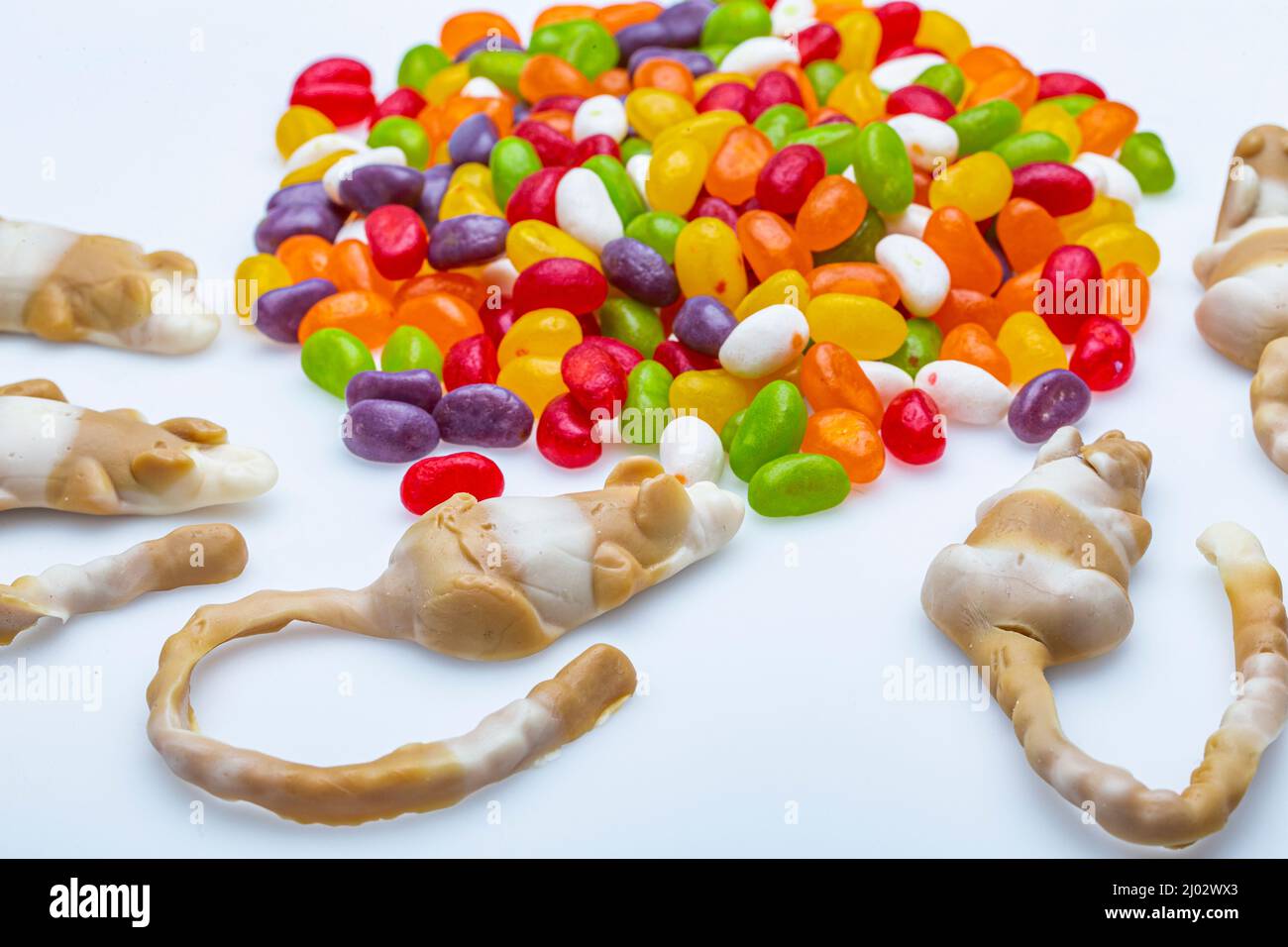 Mixed collection of colorful candy, jelly pills candies, Candies in ...