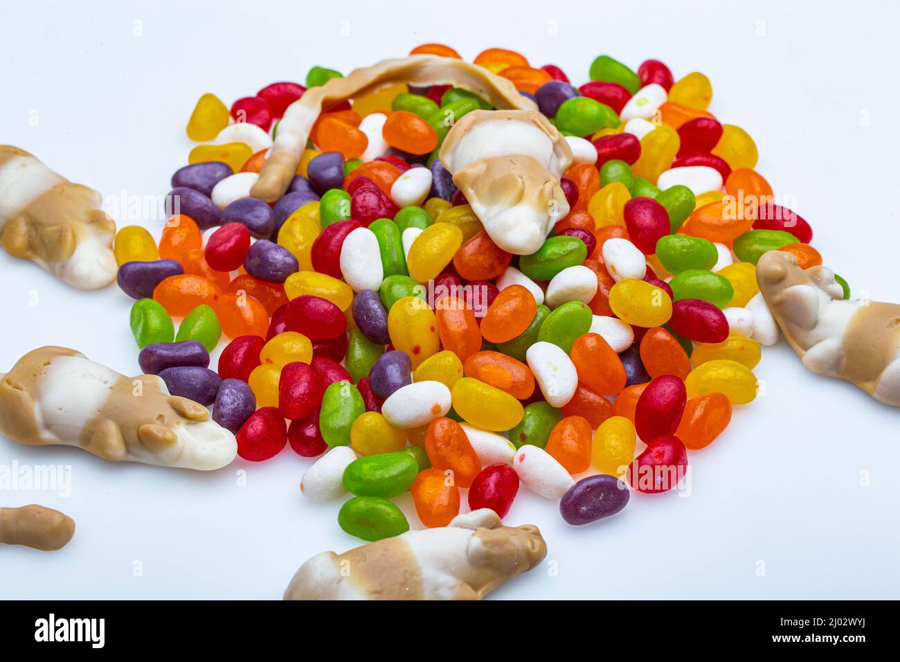 Mixed collection of colorful candy, jelly pills candies, Candies in ...