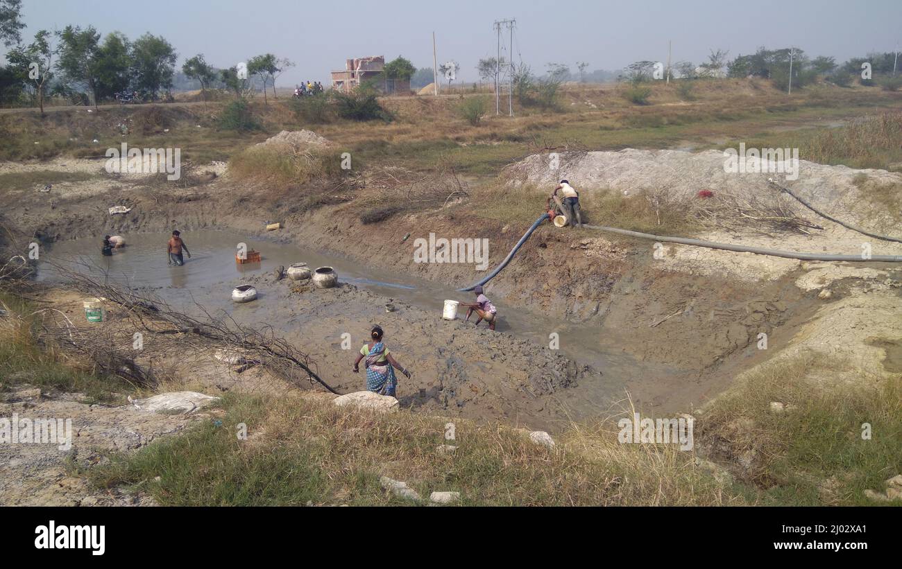 People Catching fish from dry pond, Bhadrak , Odisha, India Stock Photo ...