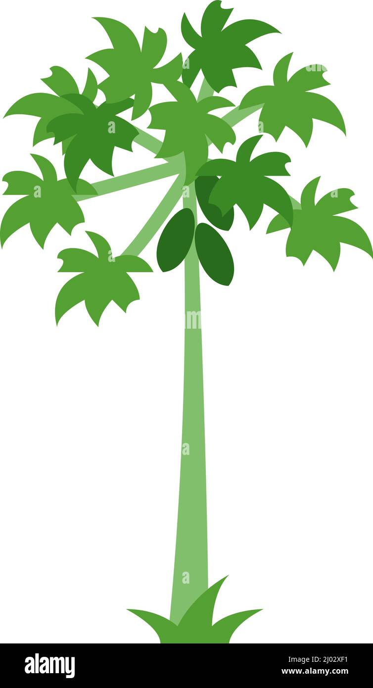 papaya tree flat illustration for decoration, website, web, mobile app ...