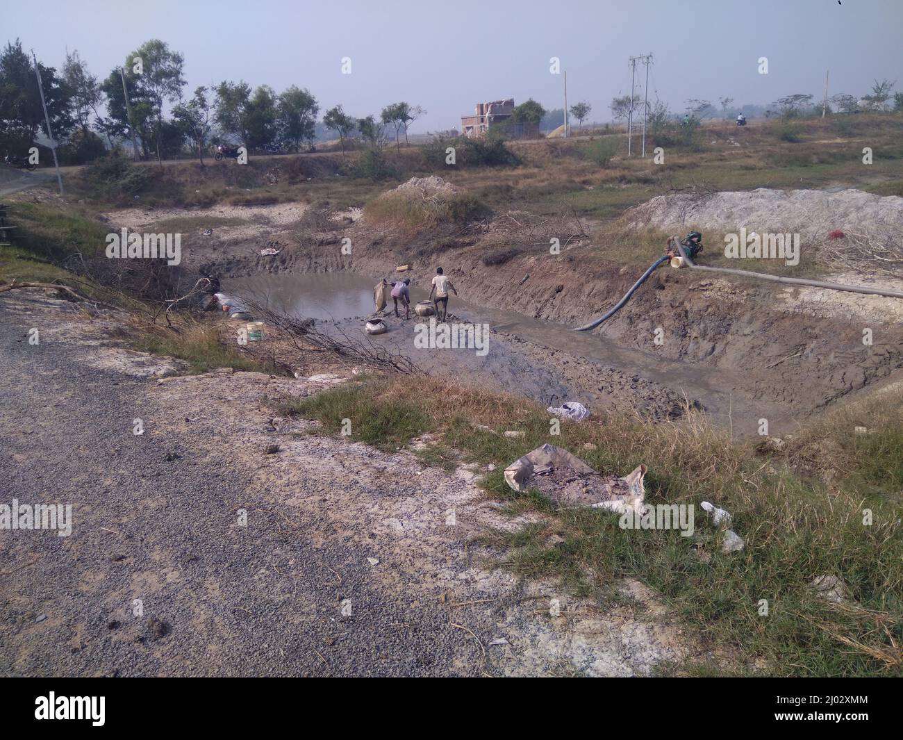 People Catching fish from dry pond, Bhadrak , Odisha, India Stock Photo ...