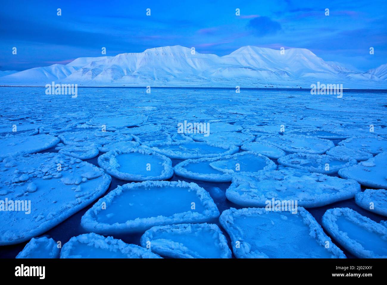 Arctic landscape. White snowy mountain, blue glacier Svalbard, Norway ...