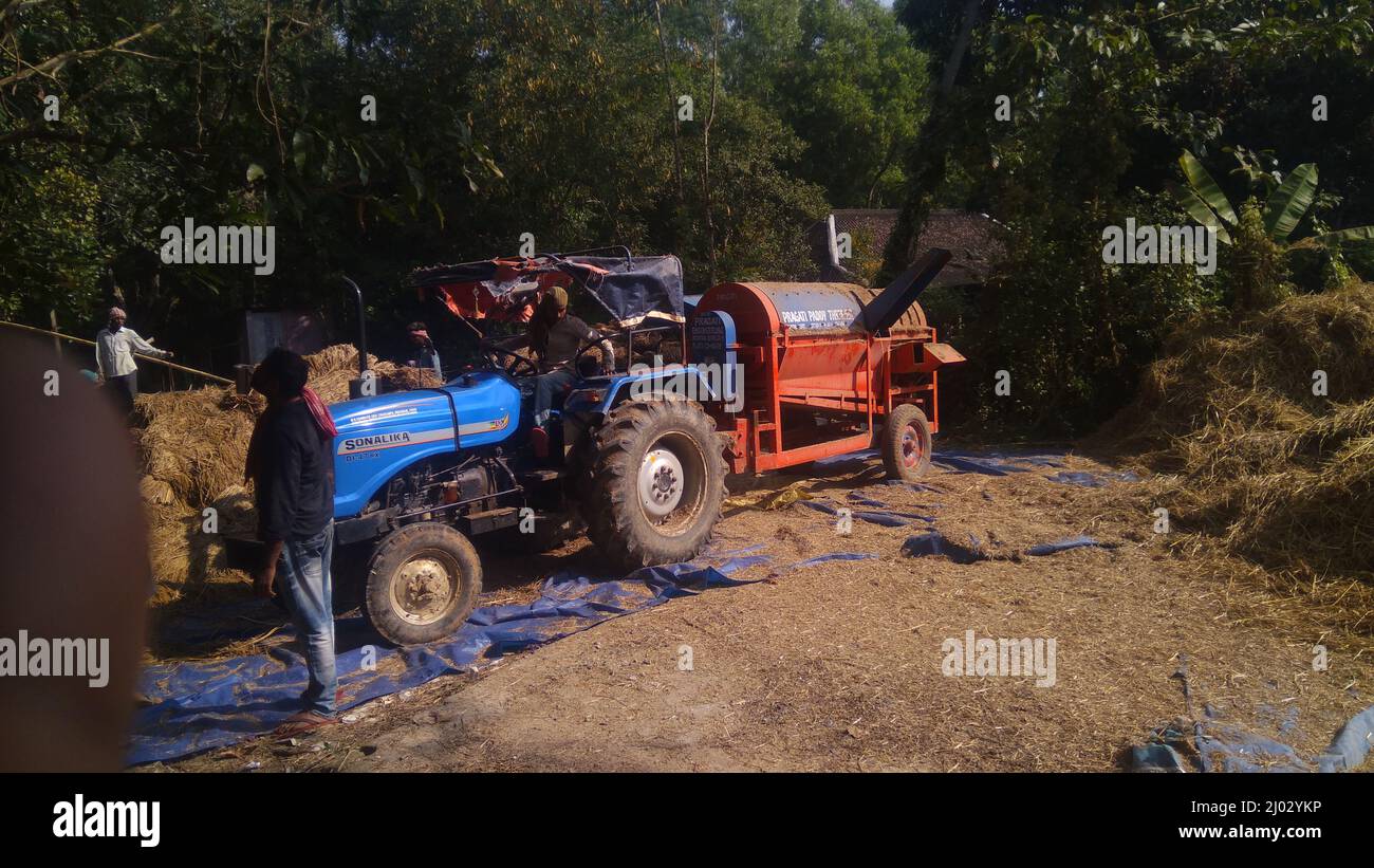 Bhadrak, Odisha, India, 07 January 2020 : Labourers feed manually ...