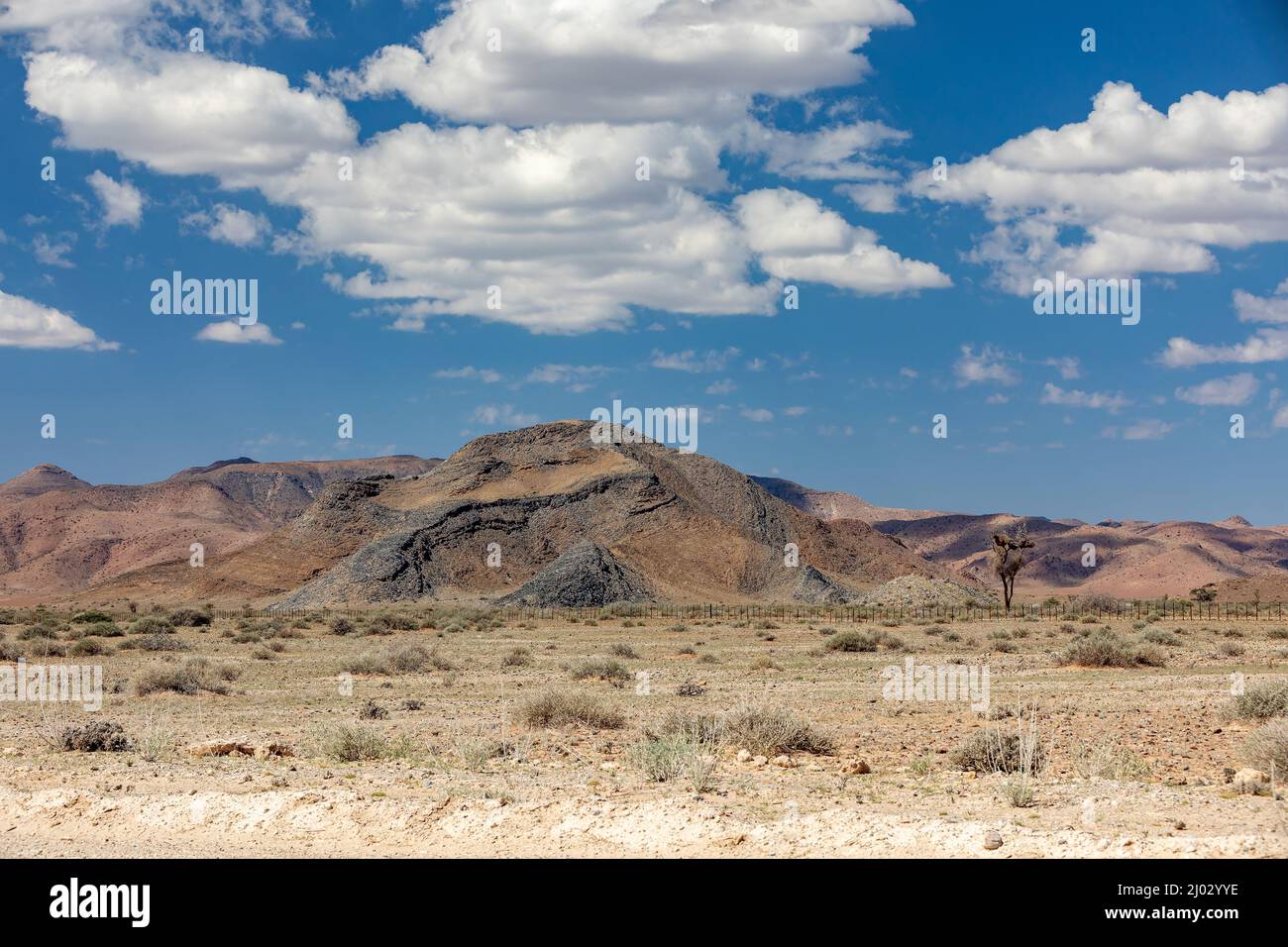 Central Namibia sand desert landscape with trees, traditional african ...