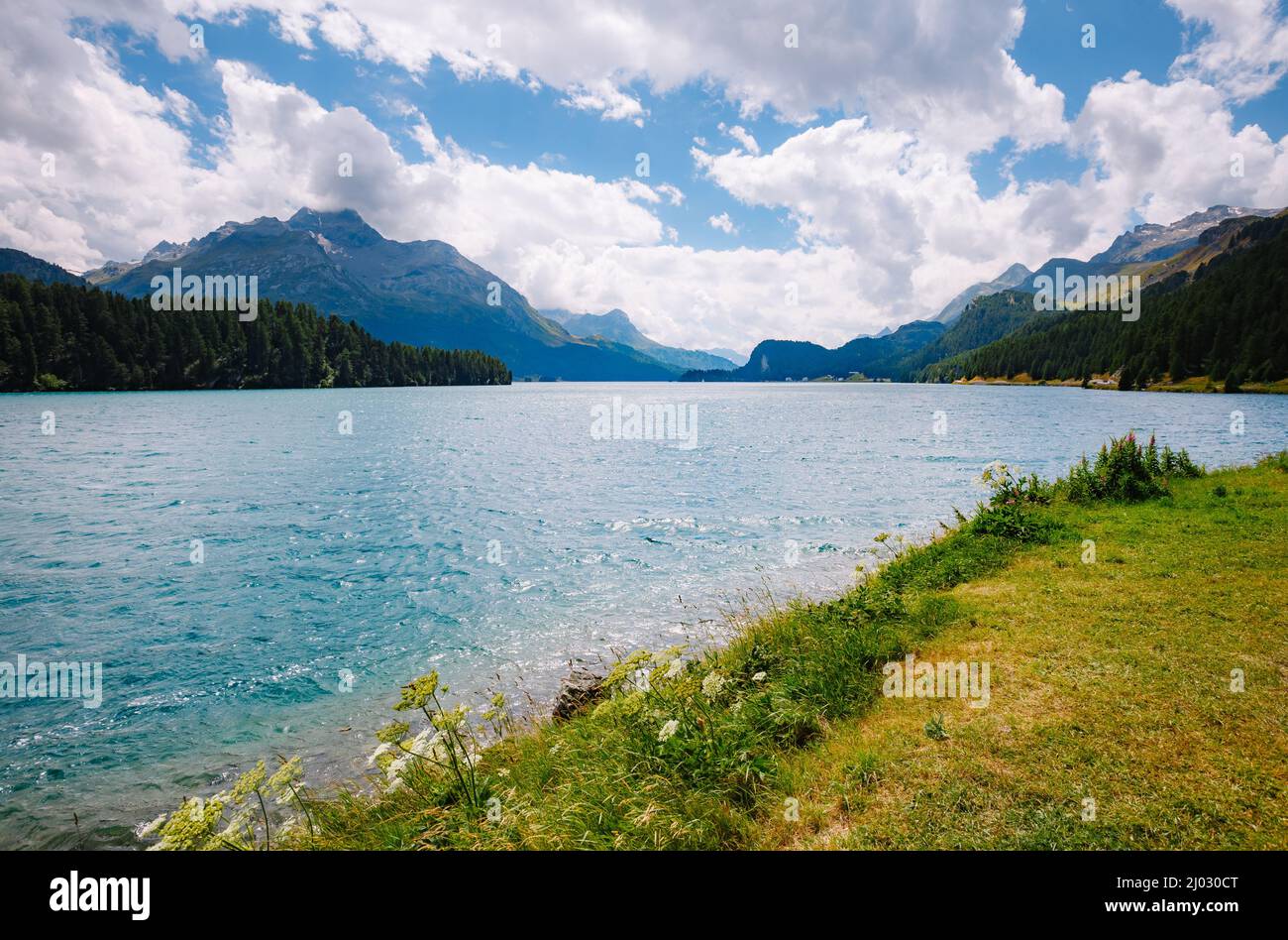 Incredible view on azure lake Silsersee (Sils). Picturesque and ...